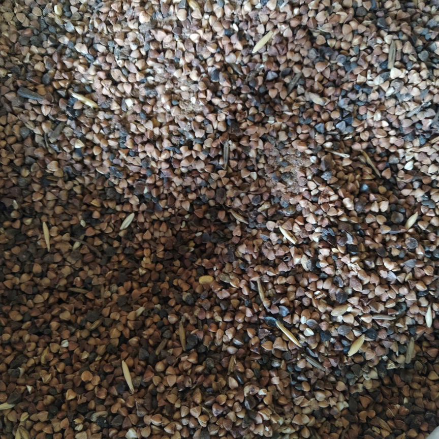 Макароны,гречка,Геркулес для собак