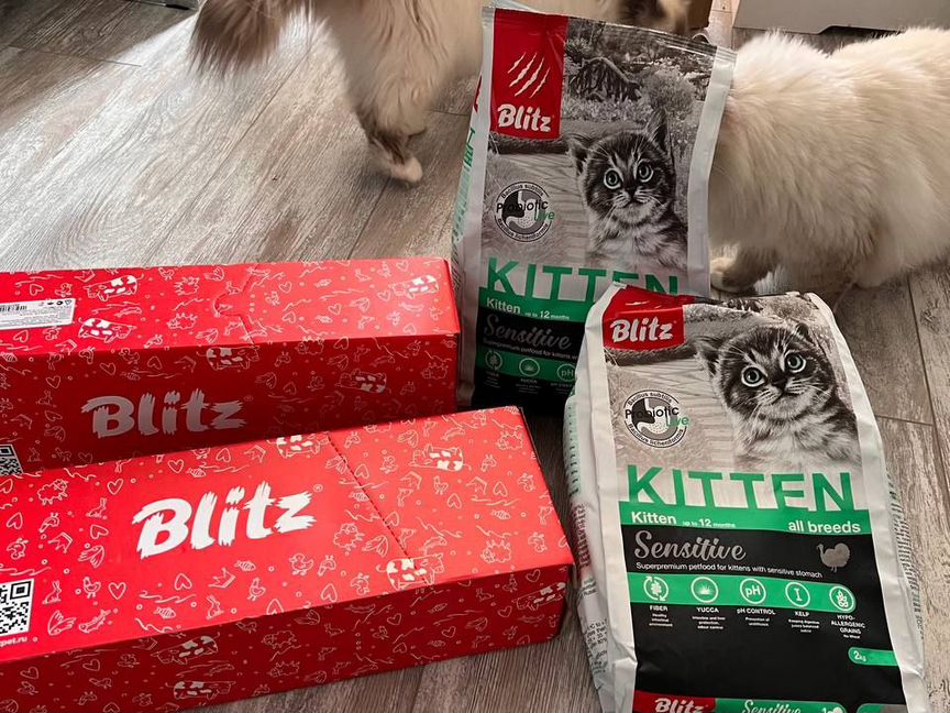 Сухой и влажный корм Blitz для котят