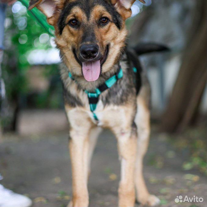 Малышка Флора нуждается в семье