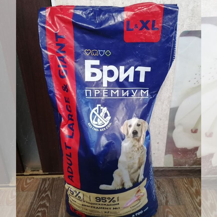 Сухой корм для собак крупных пород