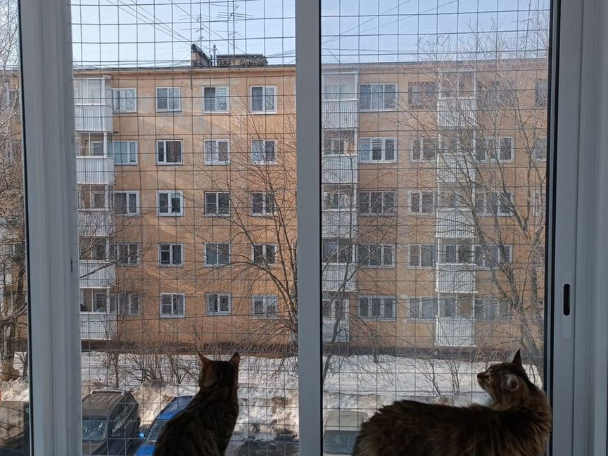 Балкон для кота, антикошка