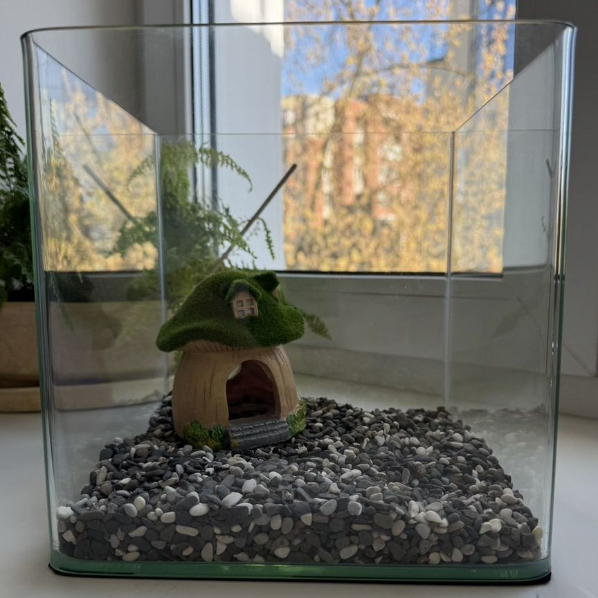 Аквариум 10 литров