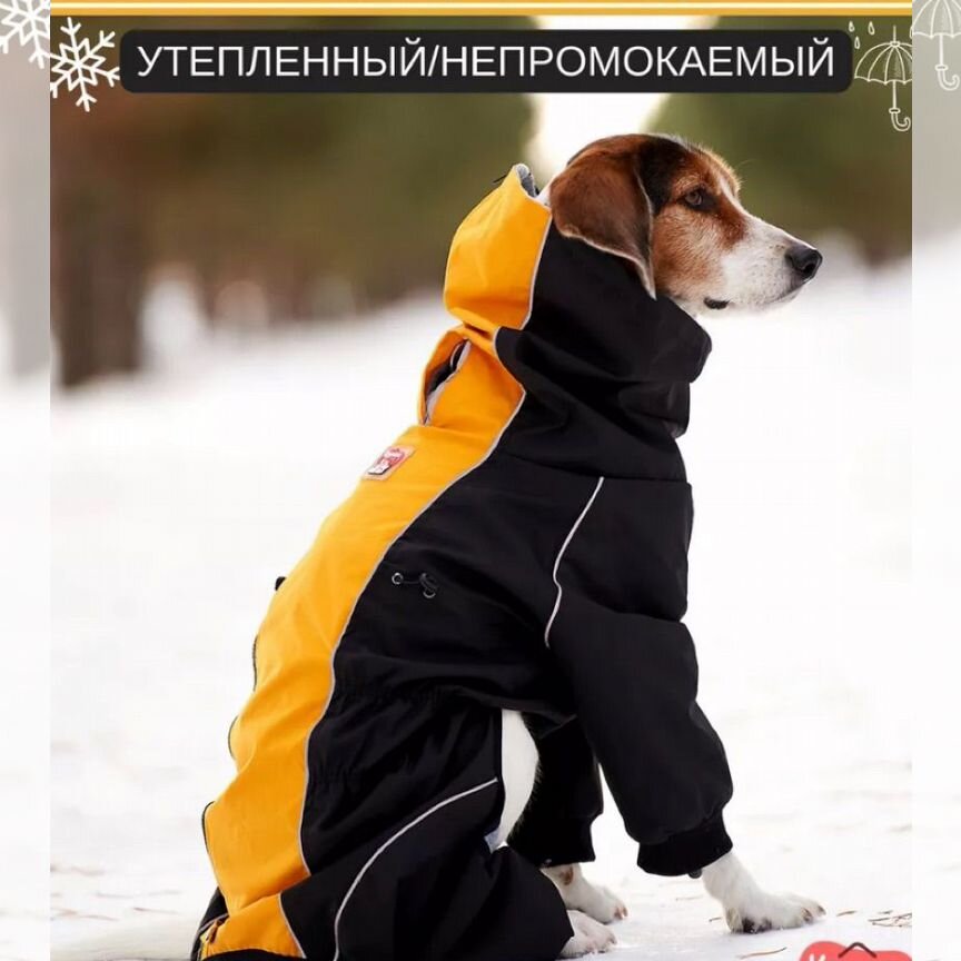 Утепленный комбинезон для собак