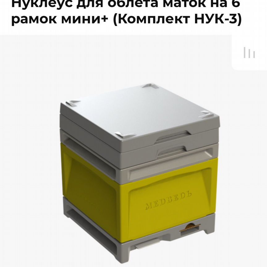 Нуклеус