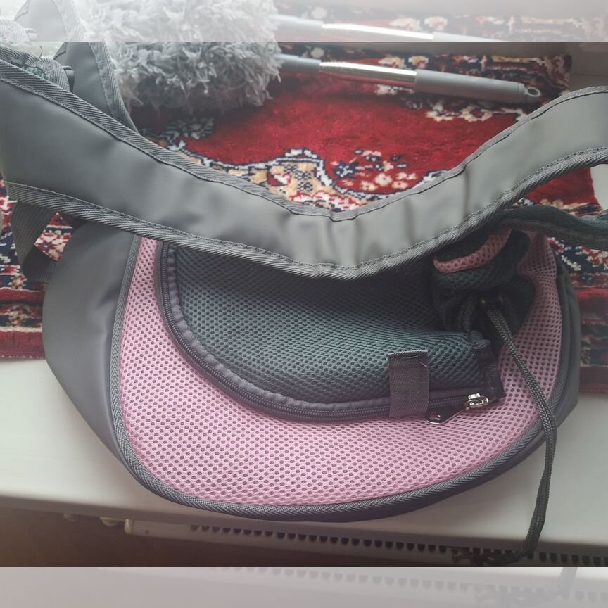 Переноска для котят