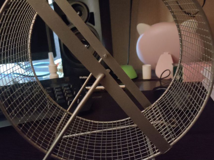 Колесо для грызунов 20 см