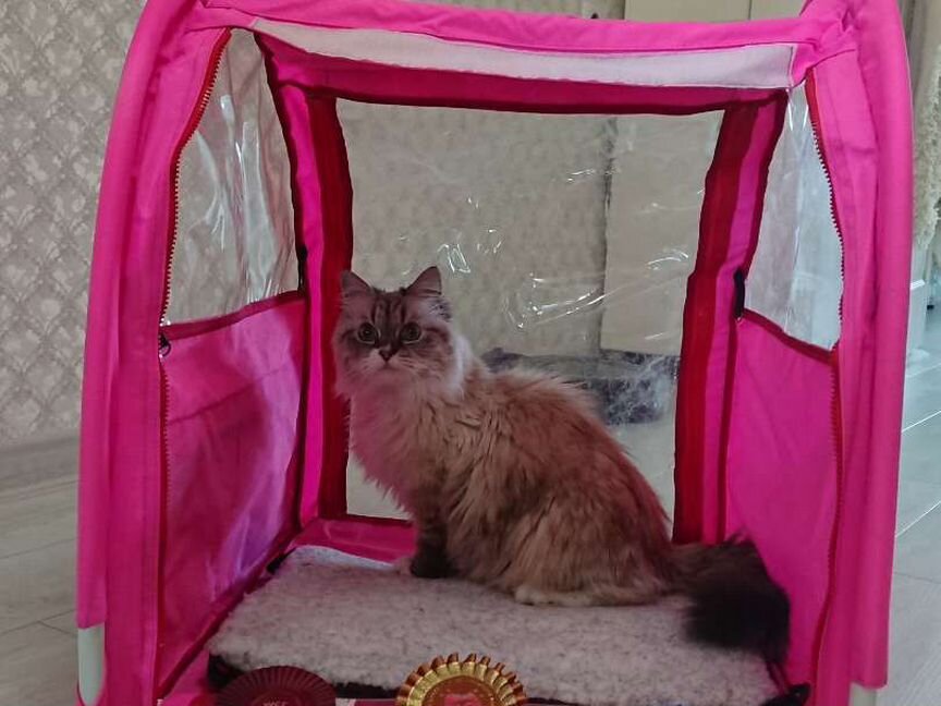 Выставочная палатка для кошек