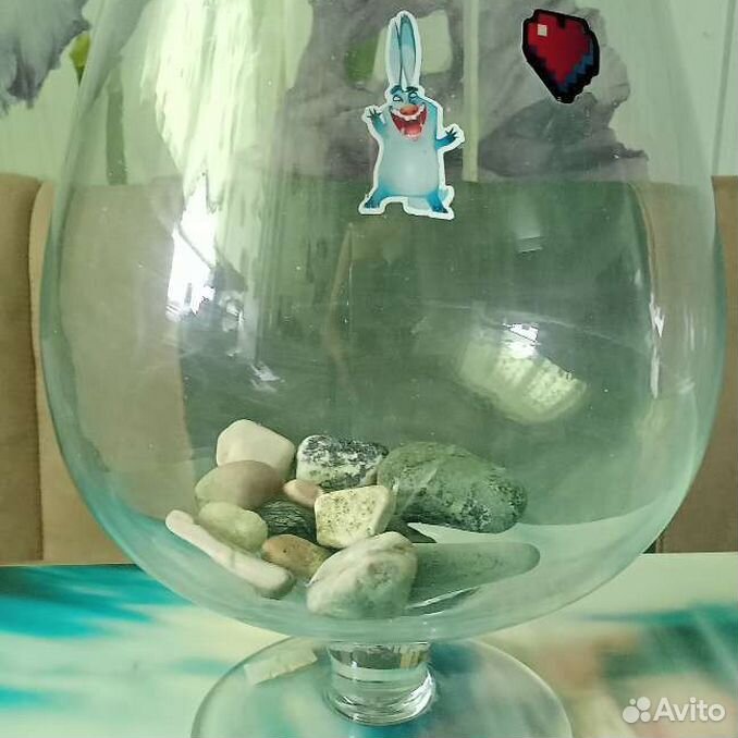 Аквариум рюмка