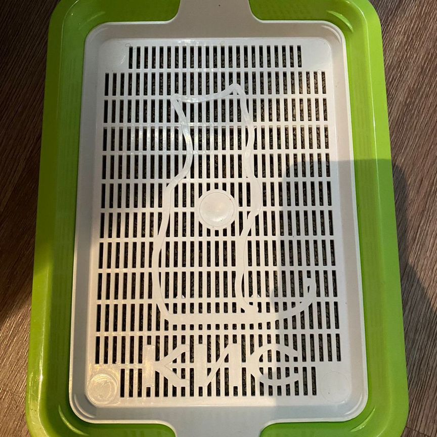 Лоток, наполнитель, миска, корм для котят