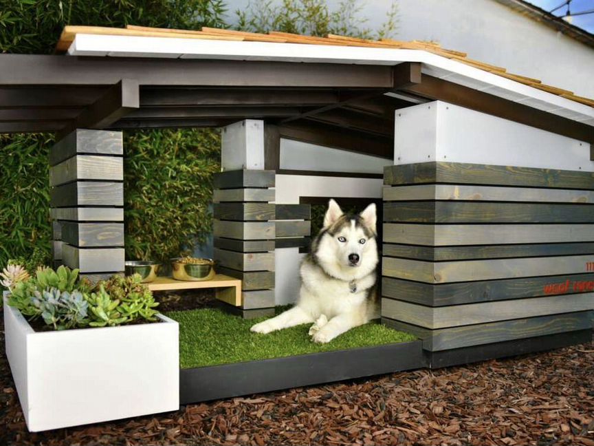 Будка, вальеры для собаки