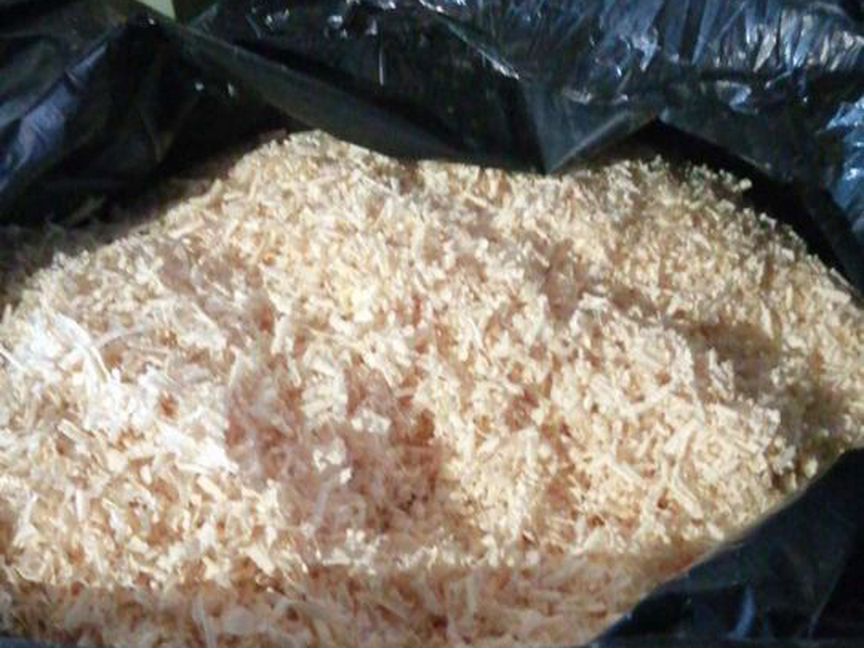 Опилки сухие хвоя