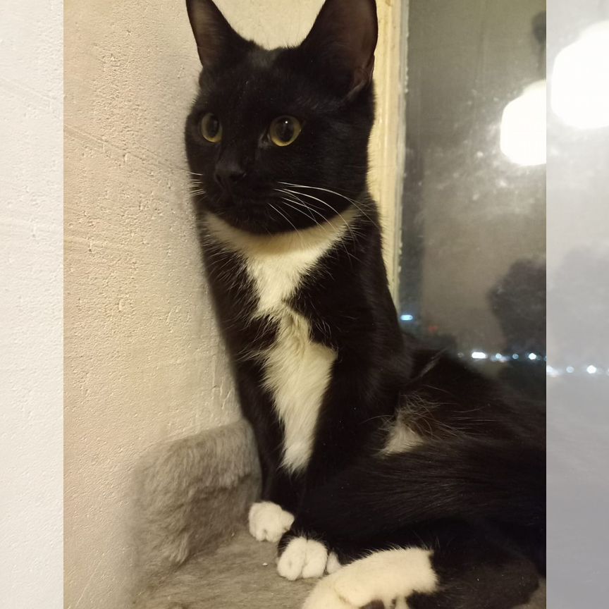 Очаровательная малышка