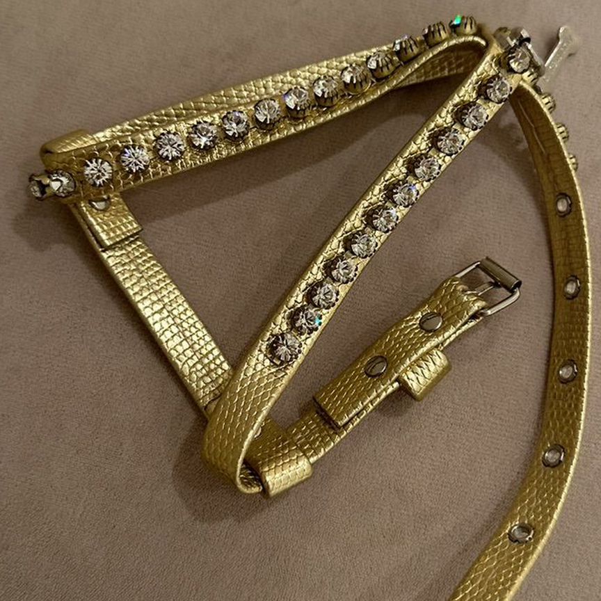 Шлейка для маленькой собаки xs