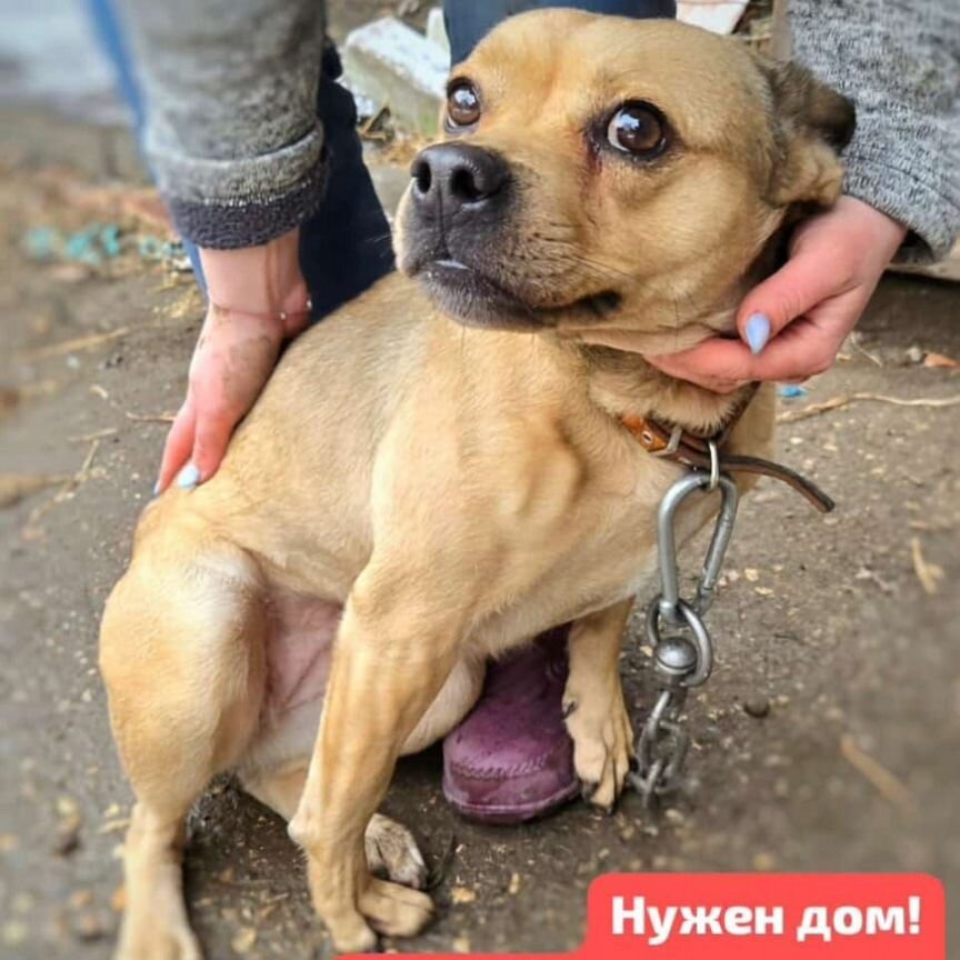 Малышка в добрые ручки