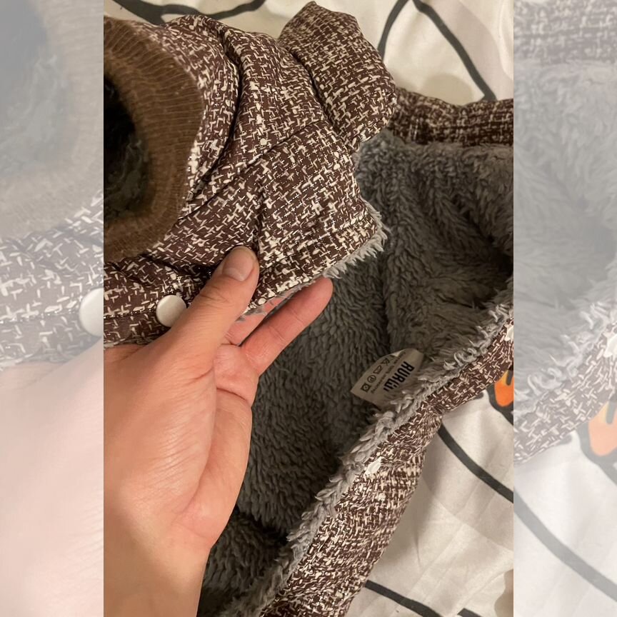 Одежда для собак