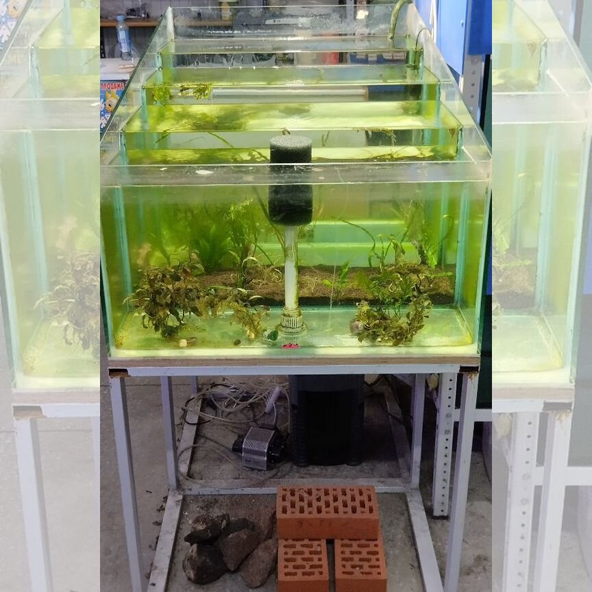 Аквариум травник каскад