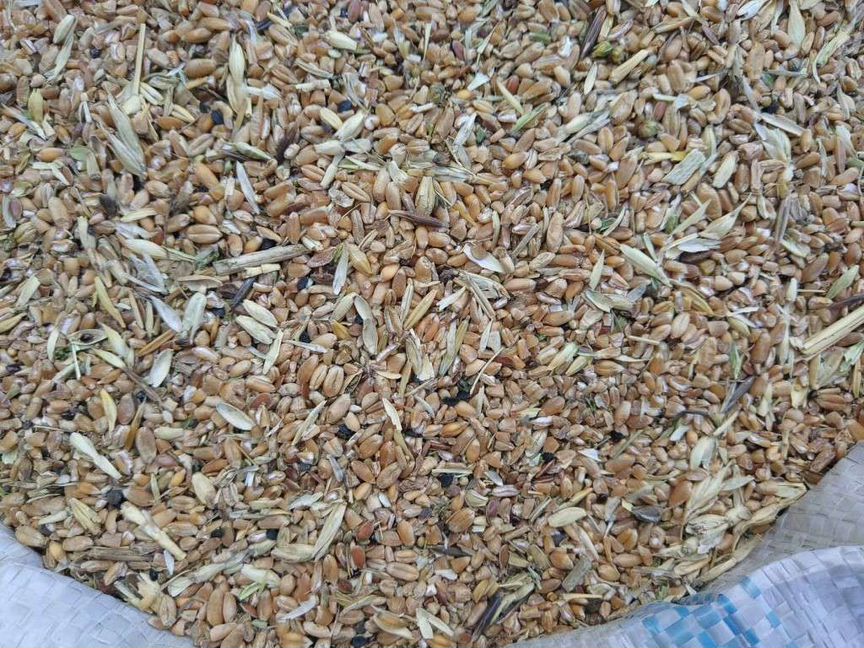 Зерновые отходы