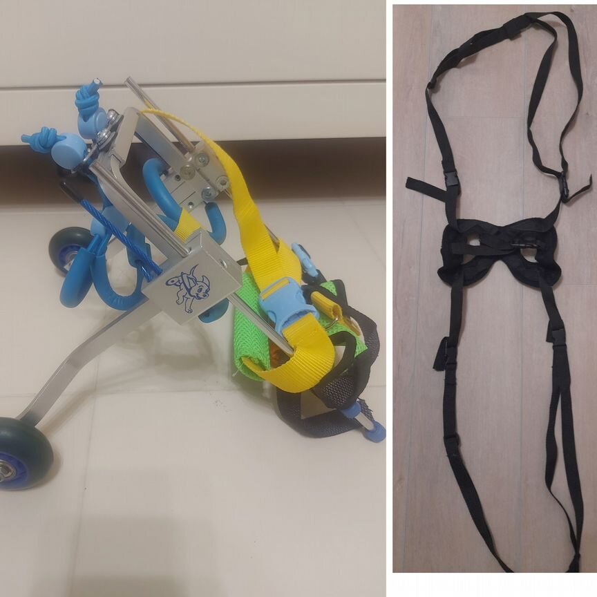 Инвалидная коляска и поддержка лап для животных