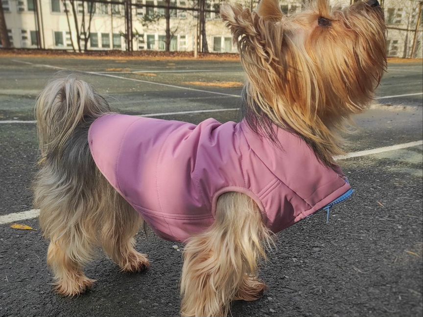 Куртка/ жилет теплый для собак