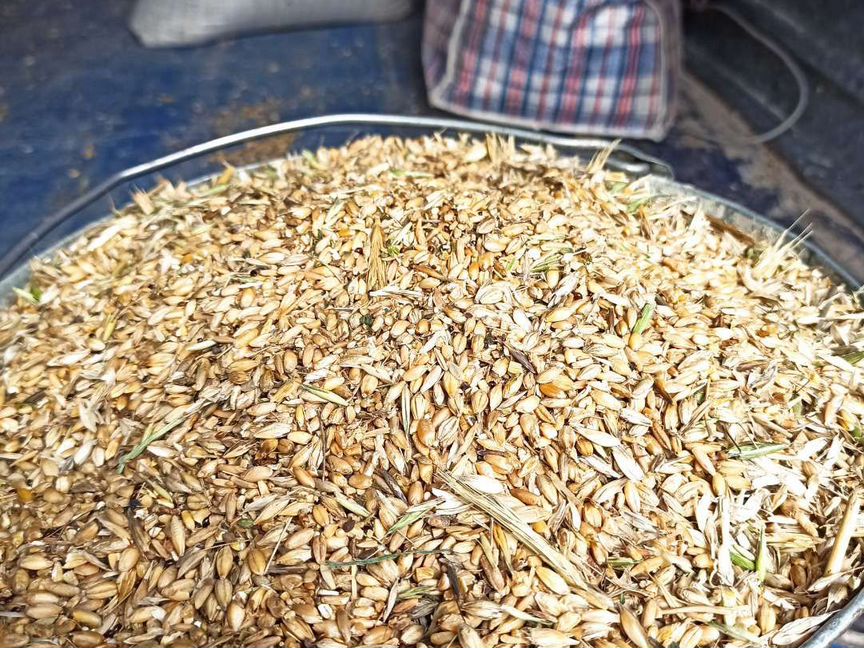 Зерноотходы