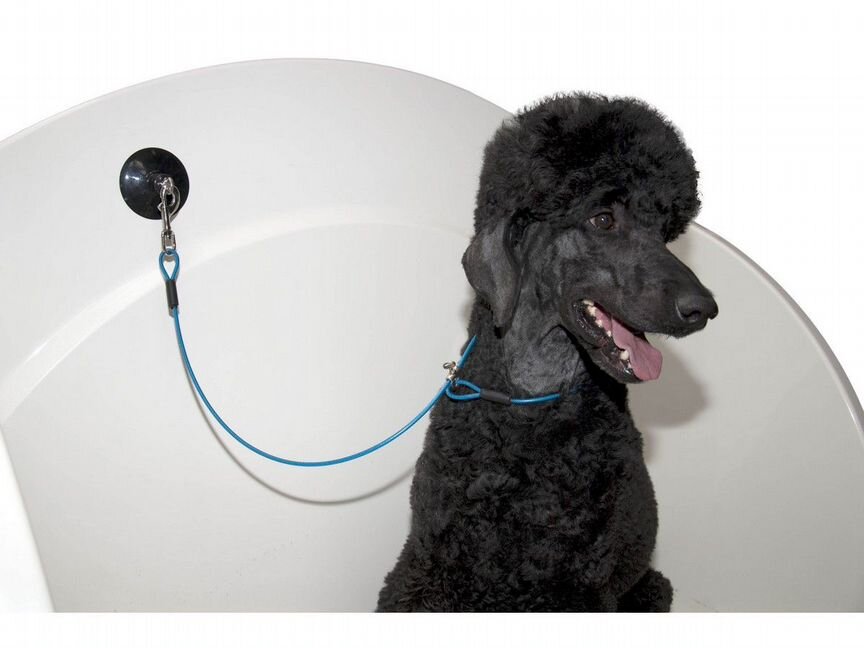 Петля Groom-X для удержания собаки с присоской