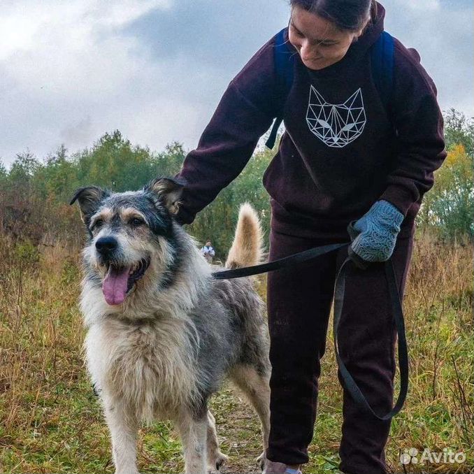 Яркий Бородатик Батон в дар