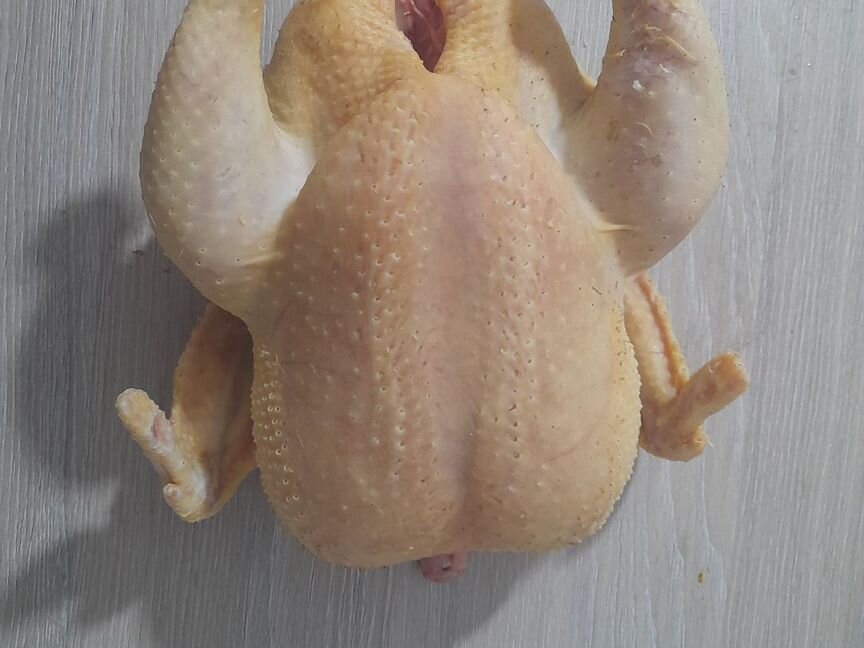 Домашняя птица