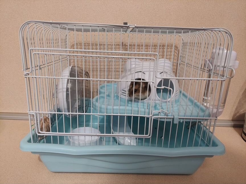 Клетка для джунгарского хомяка