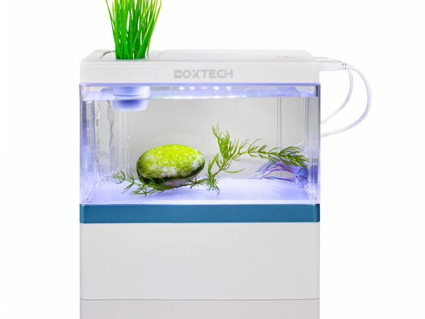 Аквариум Boxtech