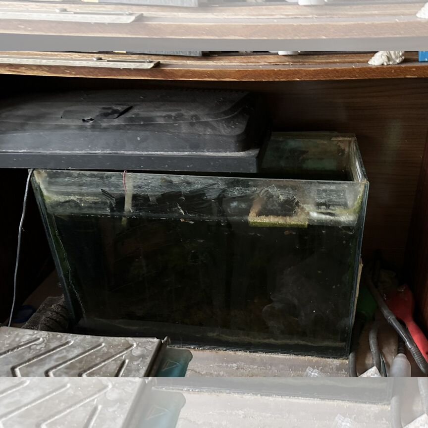 Аквариум с рыбками