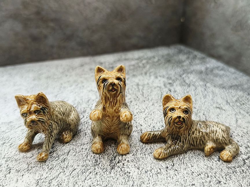 Йорк. Миниатюра. Клима. Франция