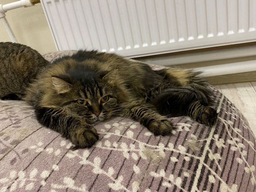 Никто не любит