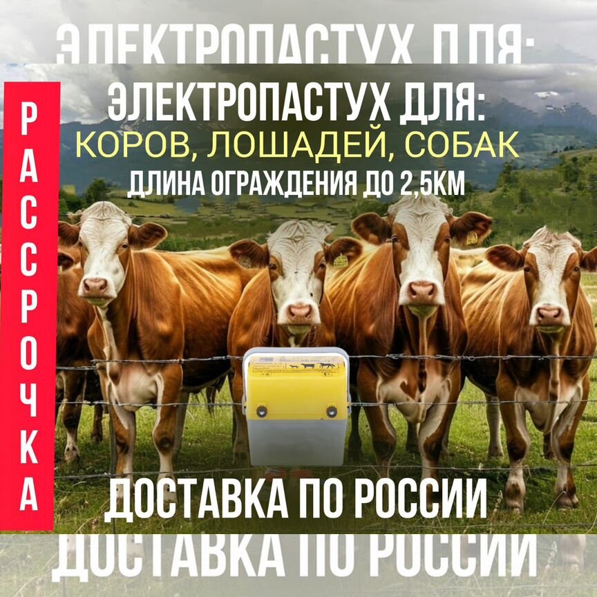 Электропастух Horizont Redyk AB200 (12V) в рассроч