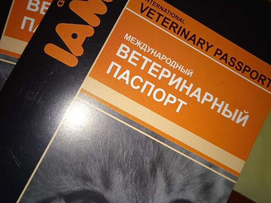 Ветеринарный паспорт животного