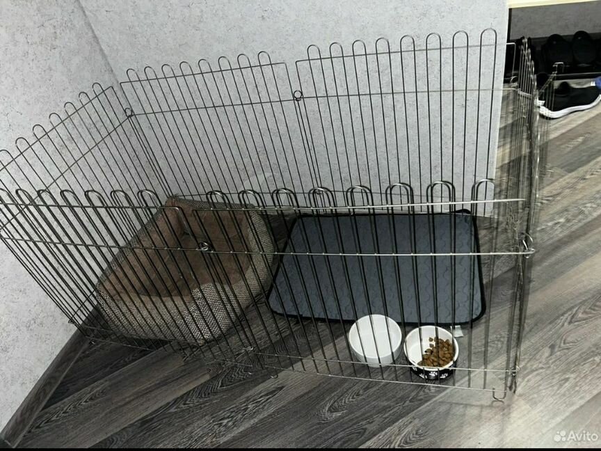 Вальтер для собак