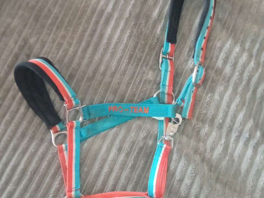 Недоуздок для лошади