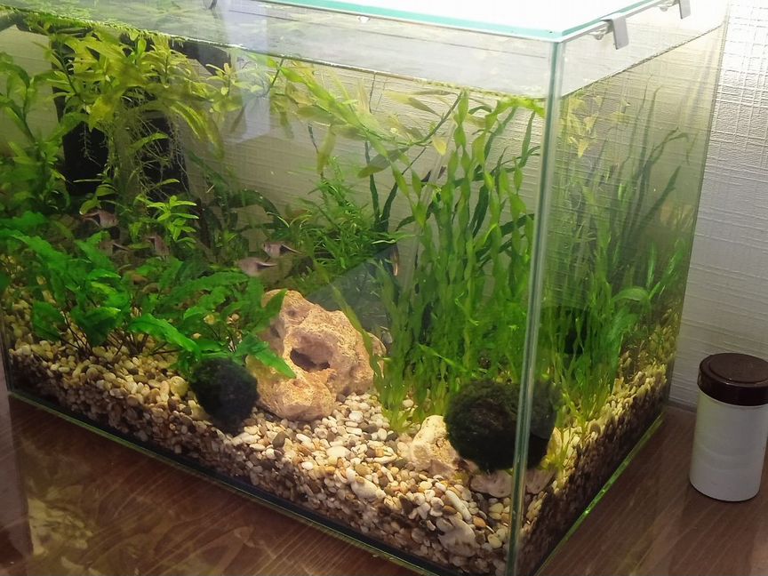 Аквариум Juwel 30 л