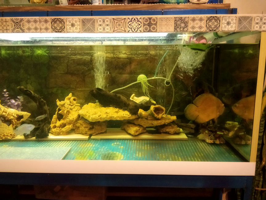 Аквариум на метал.подставке,крышка,наружный фильтр