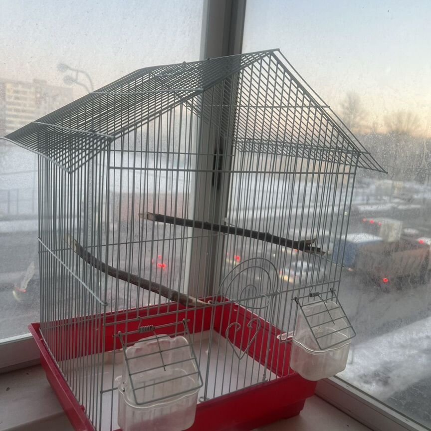 Большая клетка для попугая бу