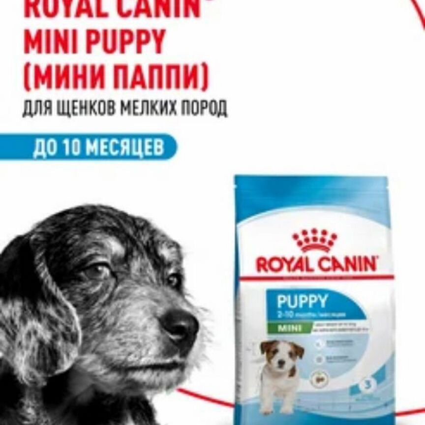 Корм роял конин для щенков