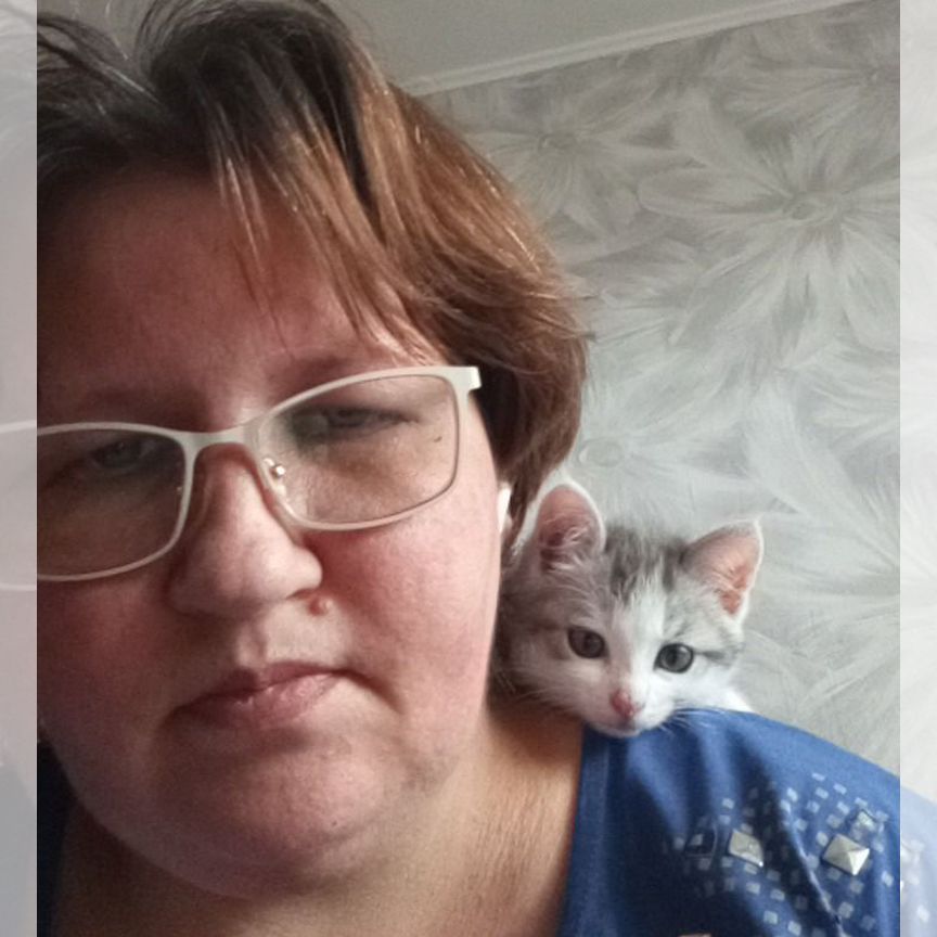 Отдам котенка. Сладкого тигренка