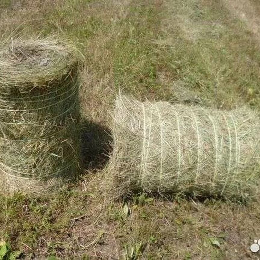 Сено- солома