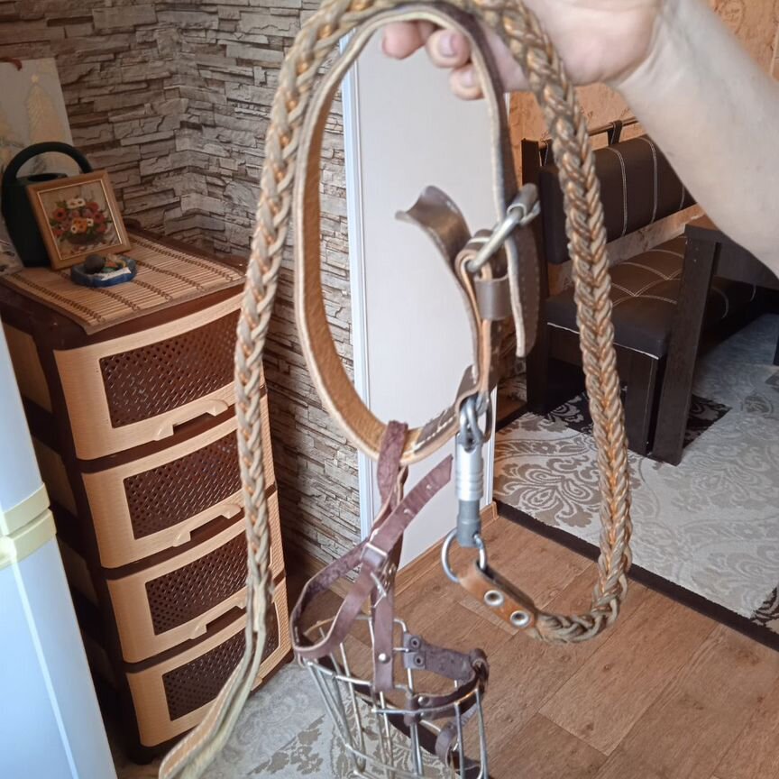Кожаный ошейник для собак