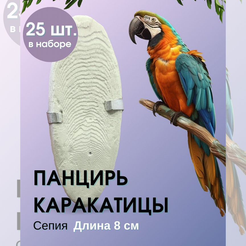 Сепия панцирь каракатицы