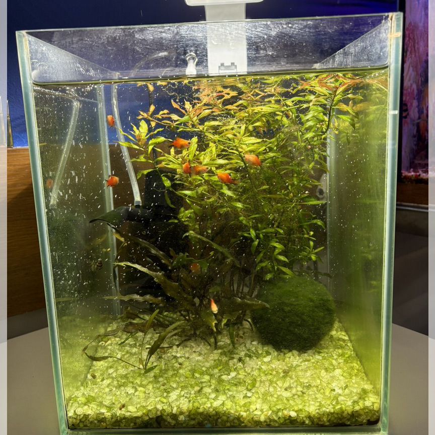 Аквариум кубик Aquael 18,75л