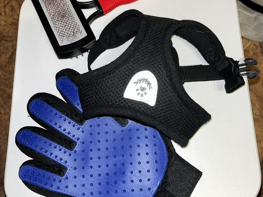 Шлейка для маленькой собаки