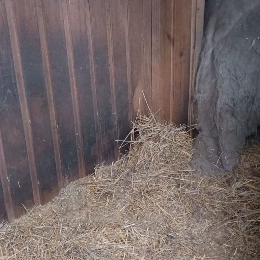 Будка собачья бу размер 2-40 на 0,90