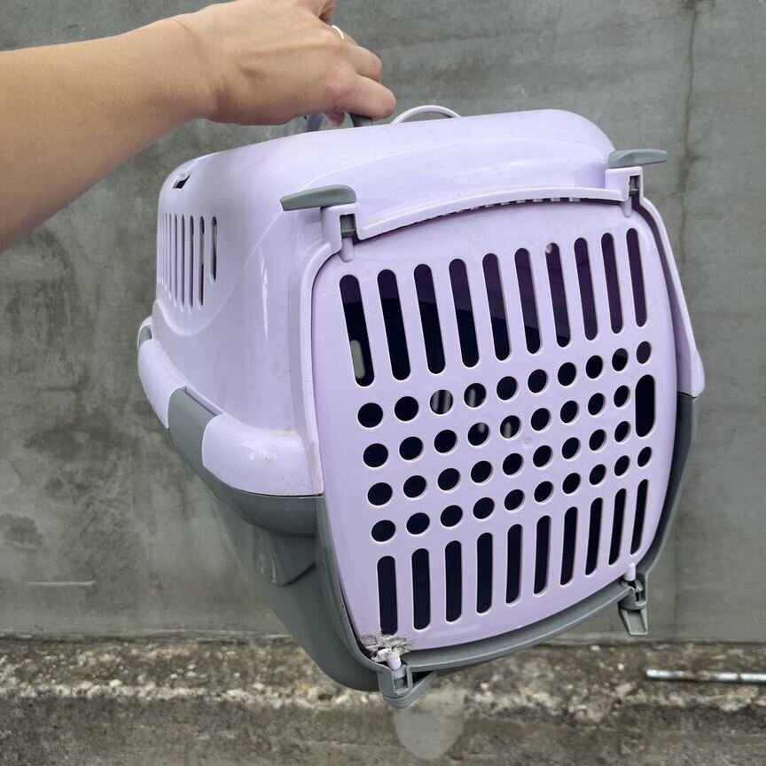 Переноска для кошек бу