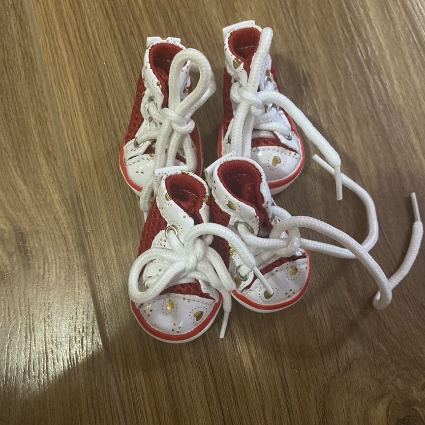 Кеды для собак