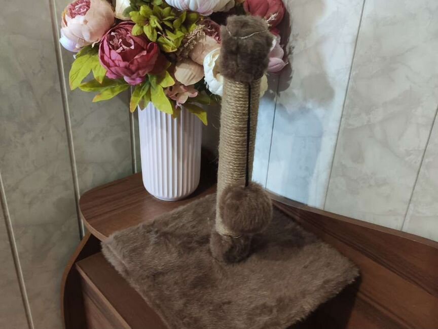 Новая когтеточка